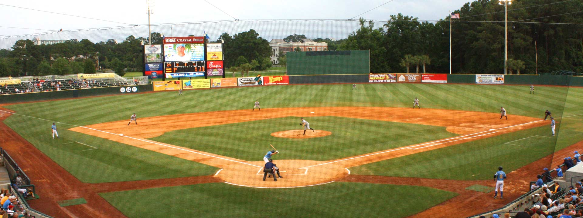 Catch A Myrtle Beach Pelicans Ballgame | Things To Do In Myrtle Beach